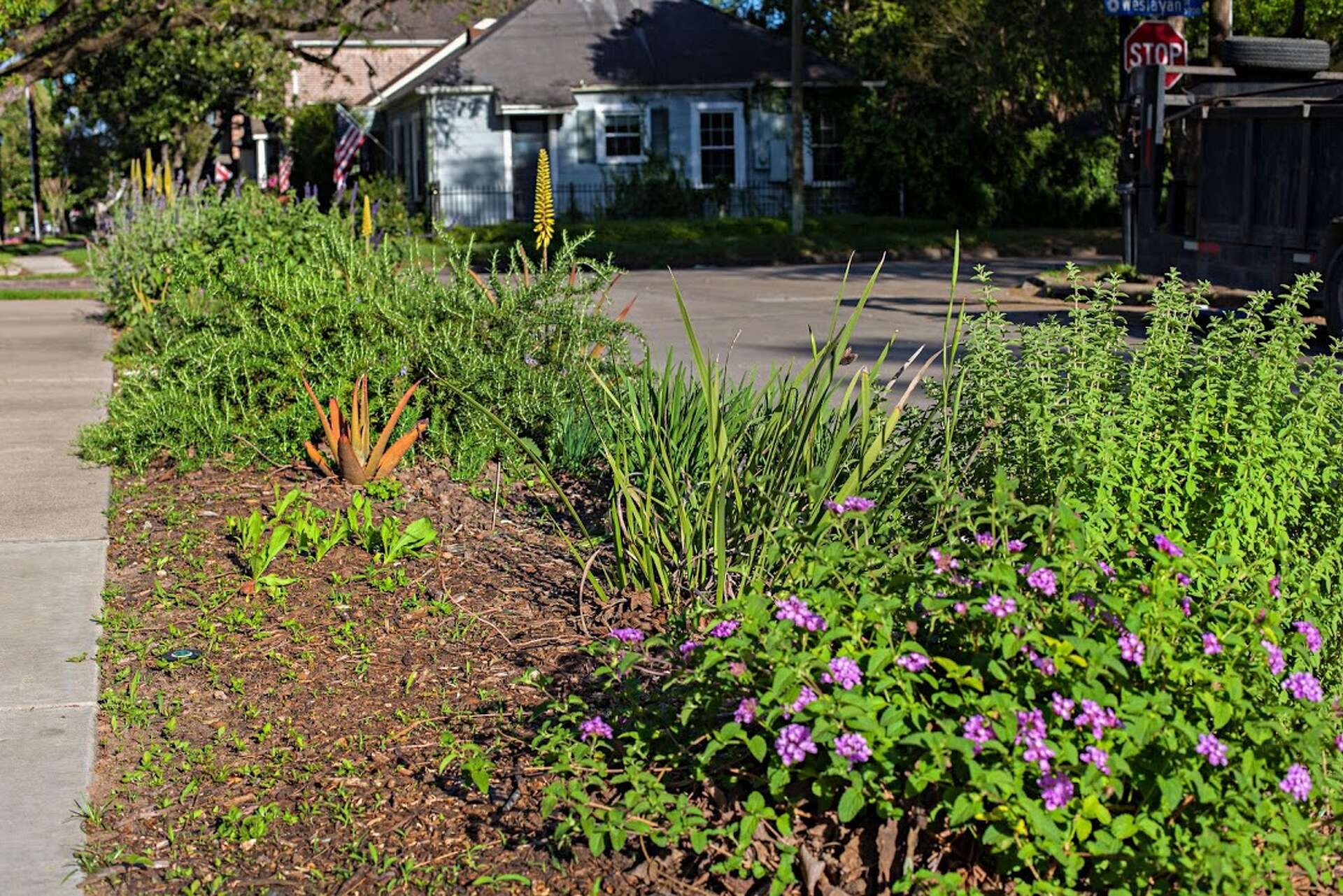 Edible Earth landscaping you can eat