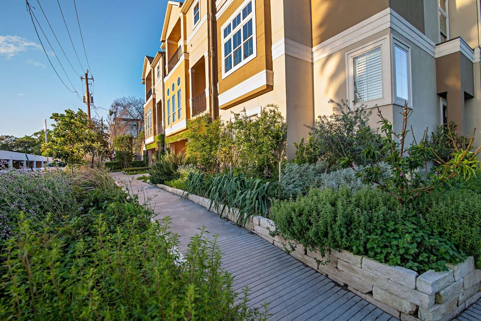 Edible Earth landscaping you can eat