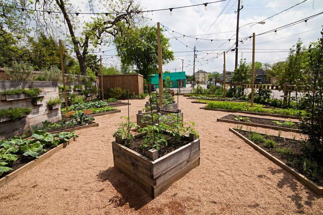 Edible Earth landscaping you can eat