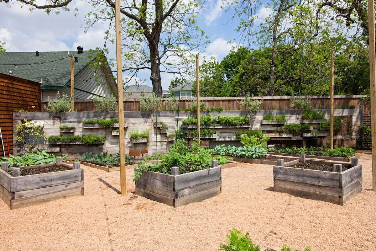 Edible Earth landscaping you can eat