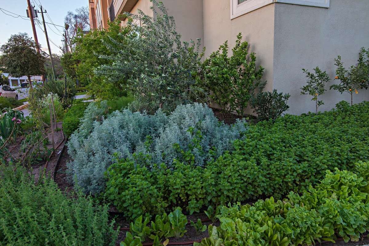 Edible Earth landscaping you can eat