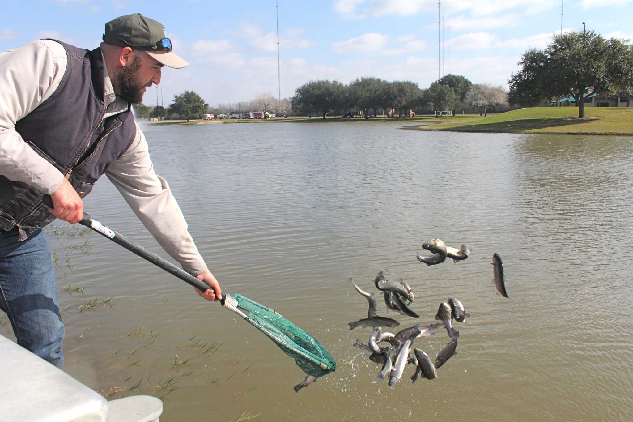 TPWD restocks Houston and Texas neighborhood lakes with thousands of ...