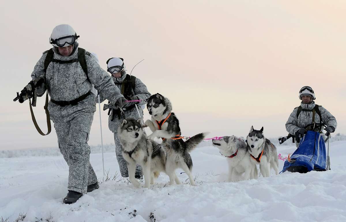 Photos: Russian Army reindeer sled teams are exactly what they sound like