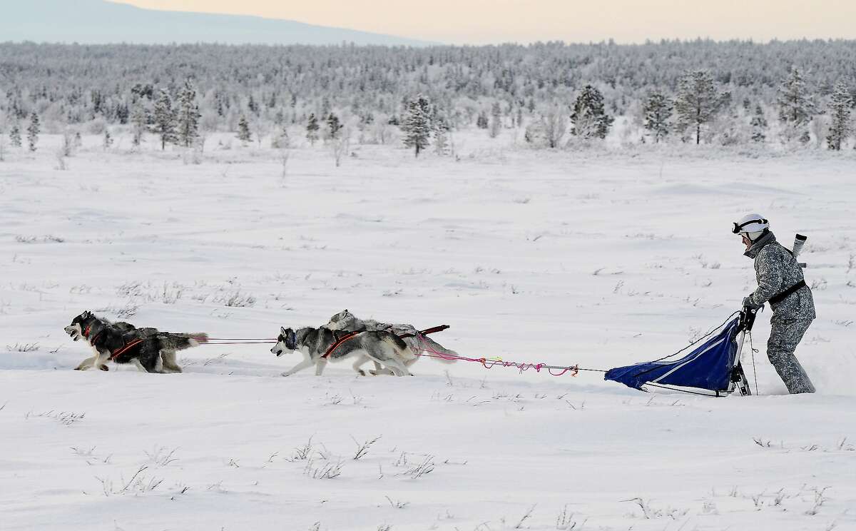 Photos: Russian Army reindeer sled teams are exactly what they sound like