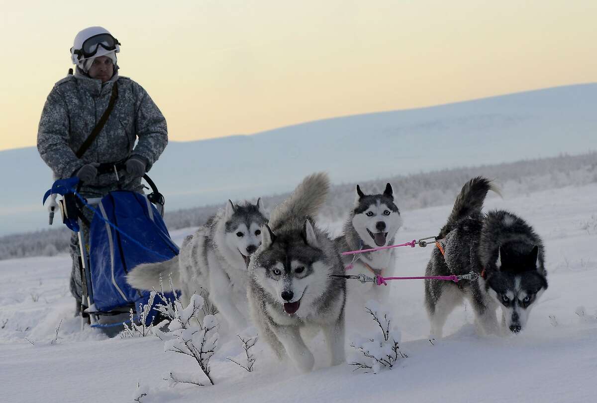 Photos: Russian Army reindeer sled teams are exactly what they sound like