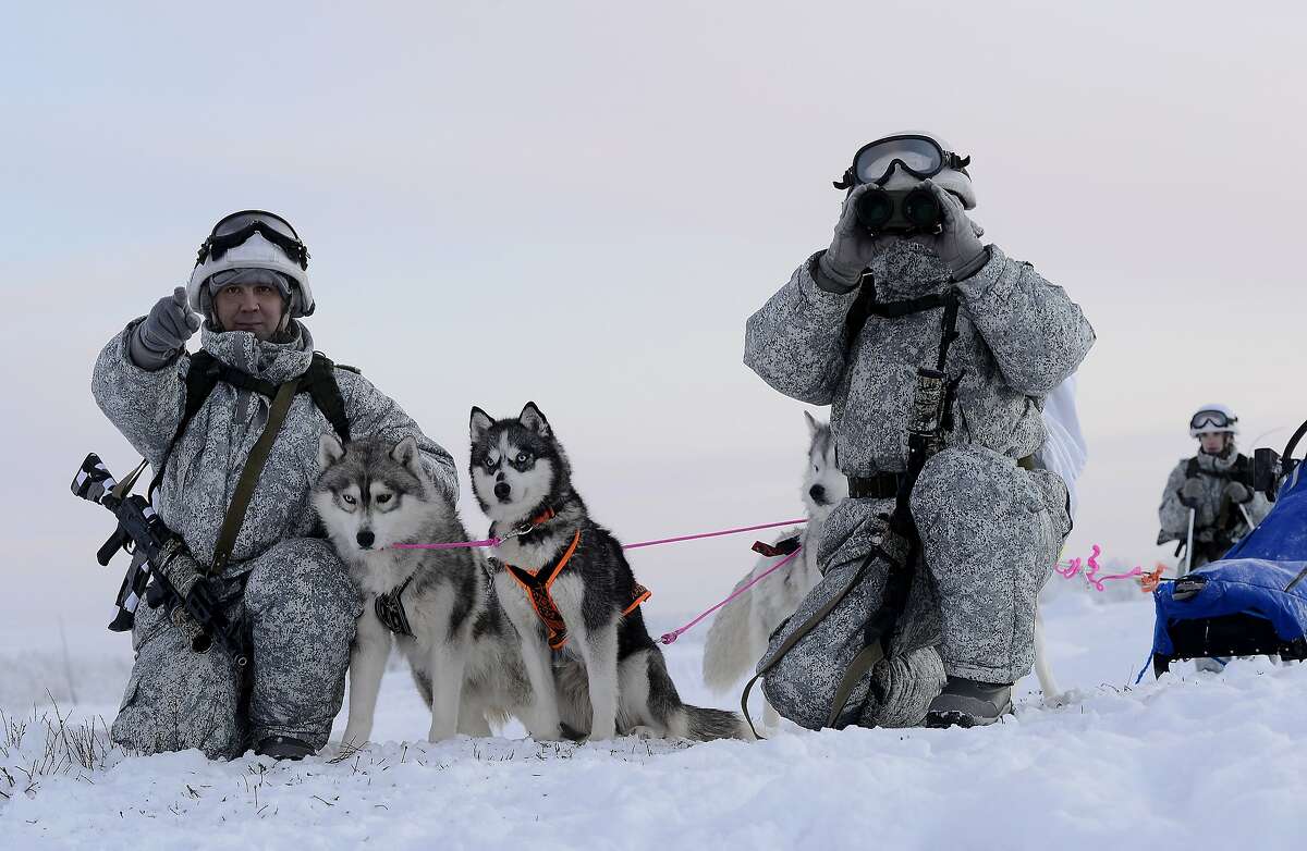 Photos: Russian Army reindeer sled teams are exactly what they sound like