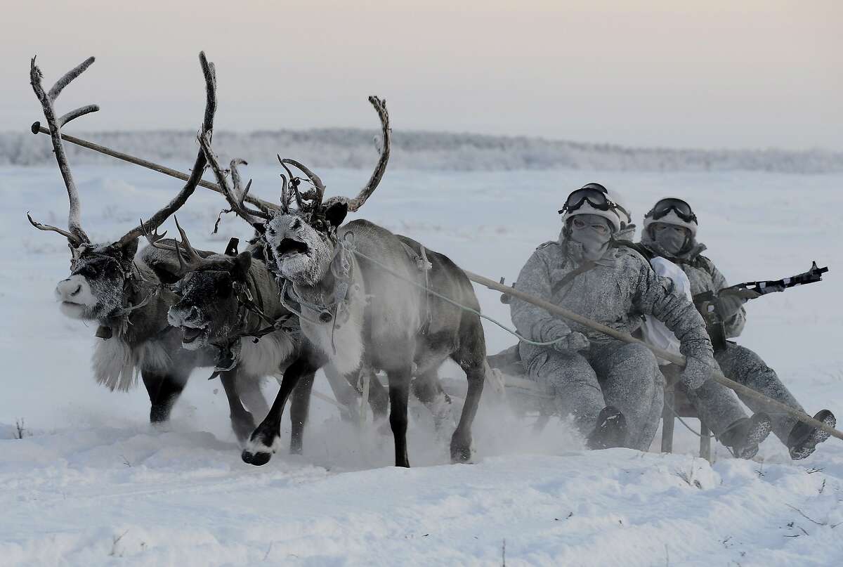 Photos: Russian Army reindeer sled teams are exactly what they sound like
