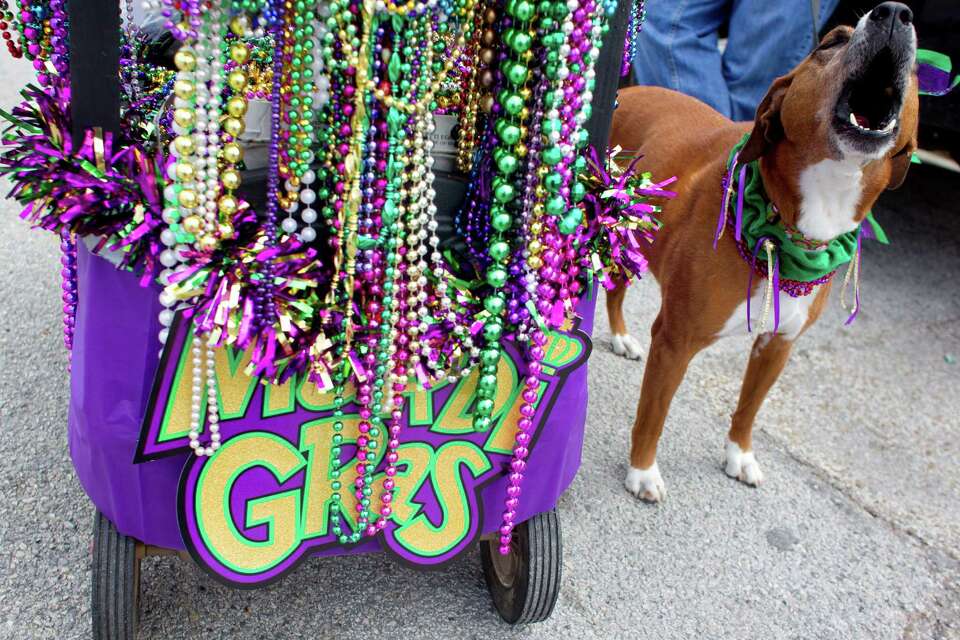 What to do at Mardi Gras Galveston this year