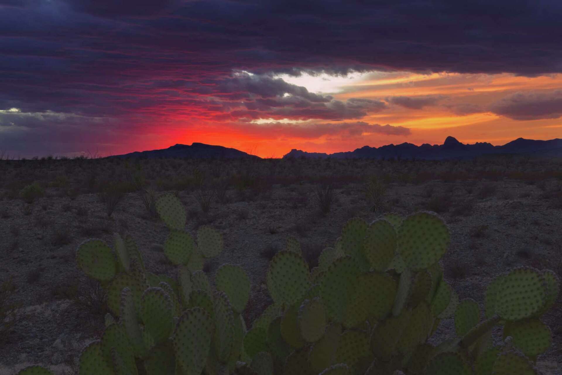 14 times the Texas sky was the best in the world