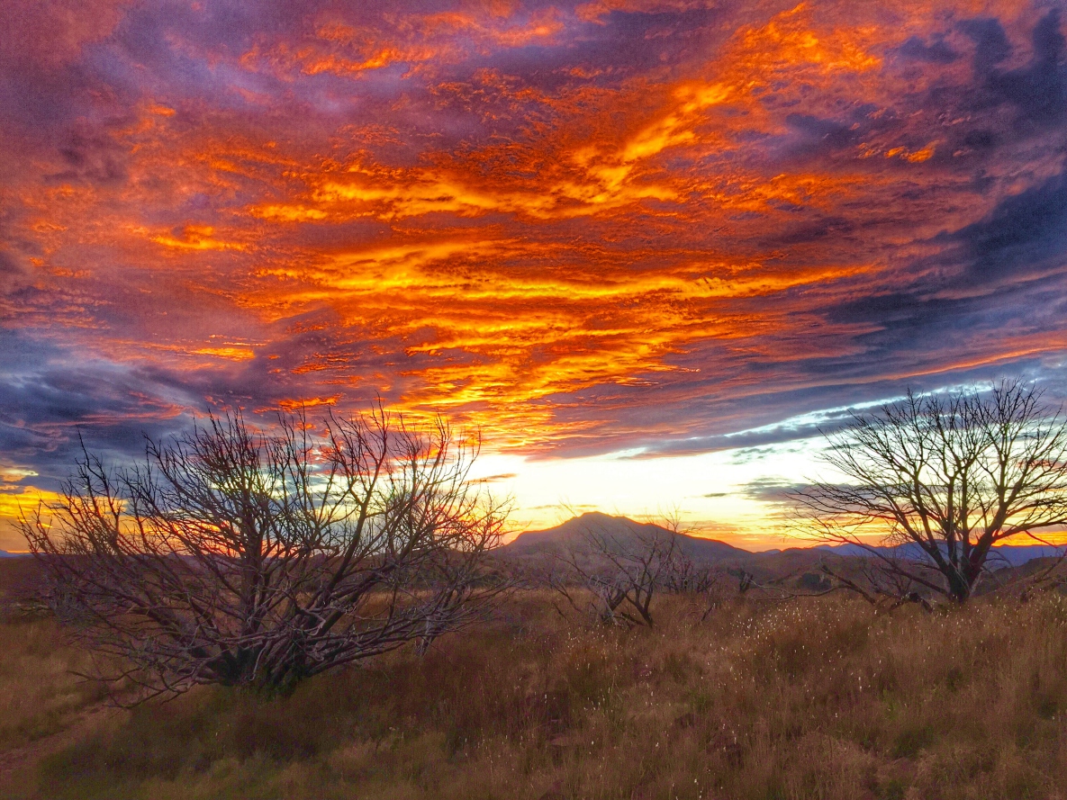 14 times the Texas sky was the best in the world