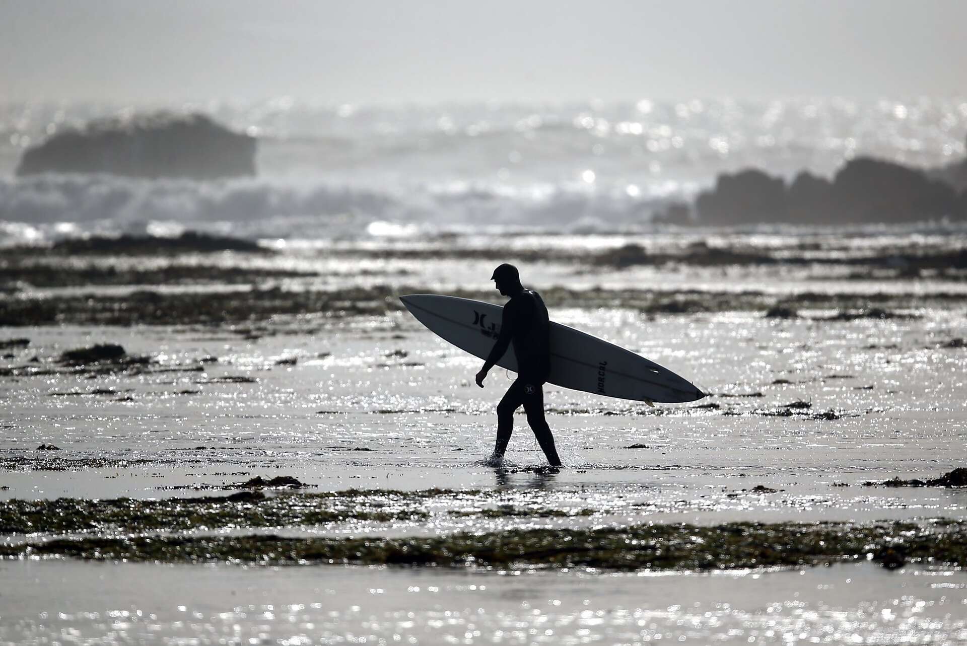 Mavericks surf contest draws an all-star cast