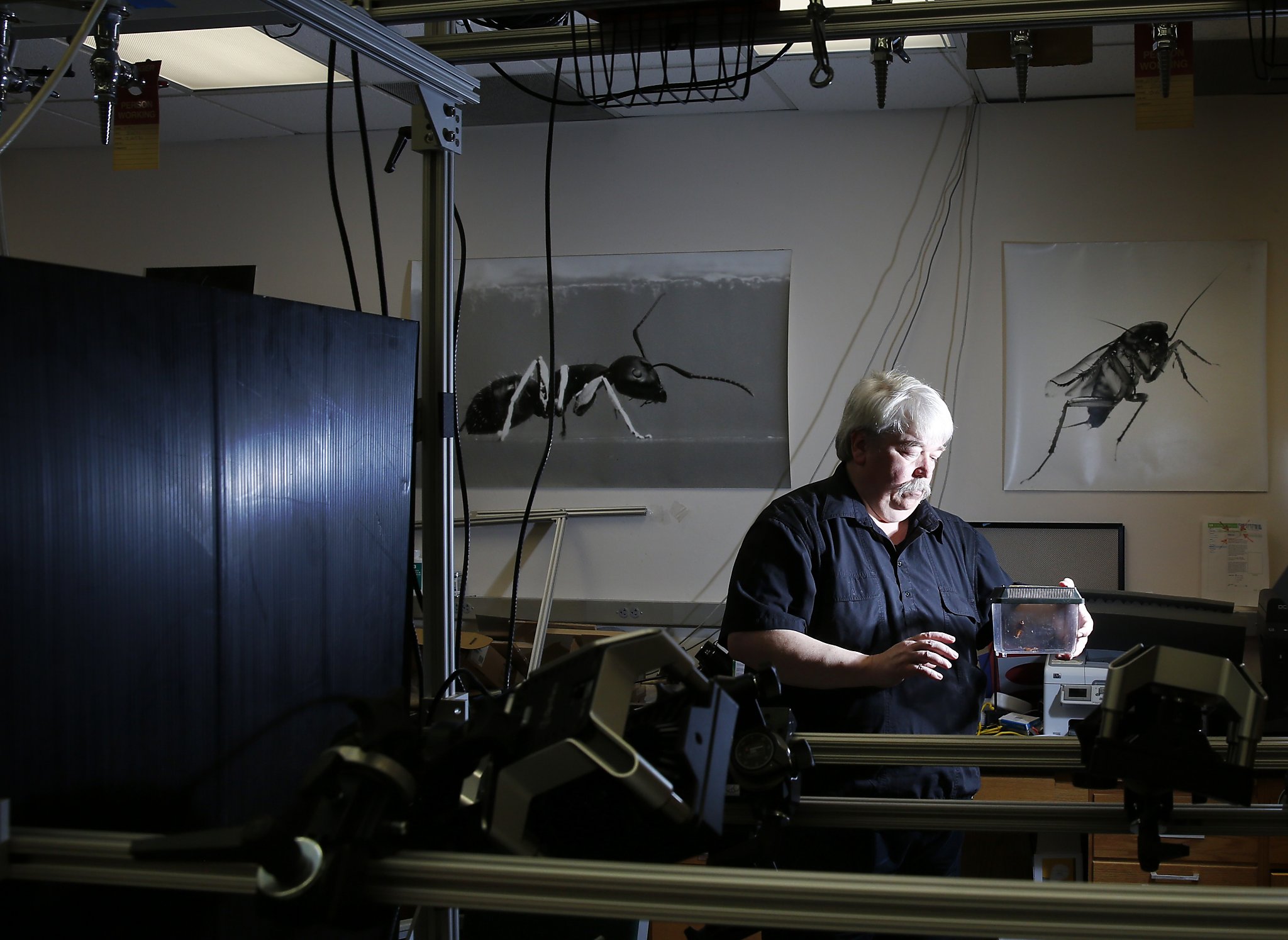 Robotic cockroach may be a lifesaver in a big, future quake