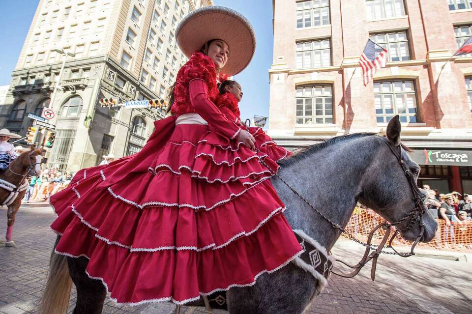 Annual cattle drive through downtown San Antonio is no bull