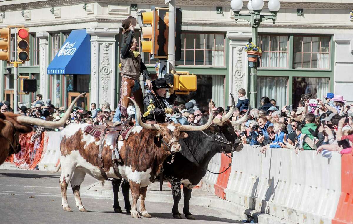 Annual cattle drive through downtown San Antonio is no bull