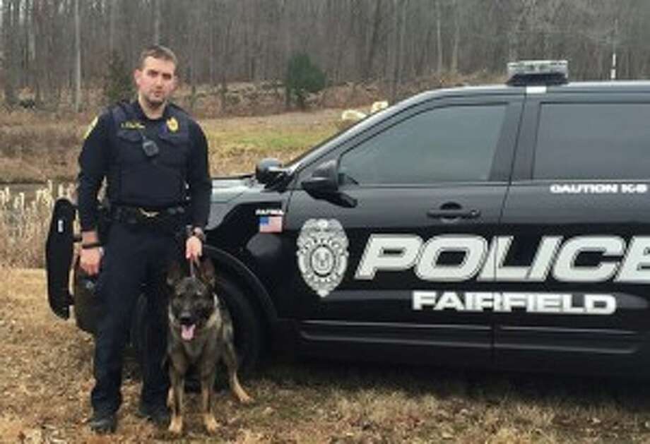 Fairfield PD welcomes new K9 officers - Connecticut Post