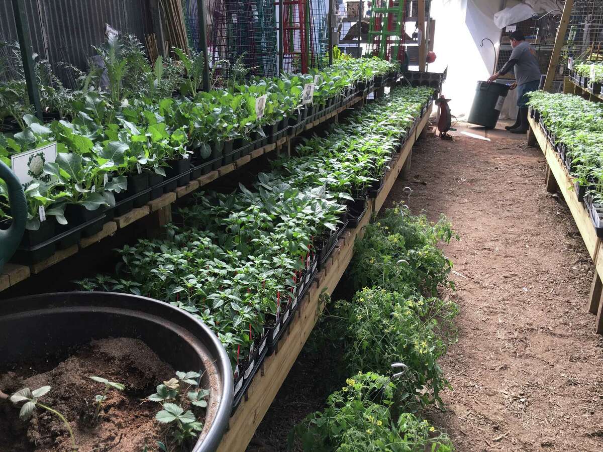 Wabash, the beloved urban feed store, is moving