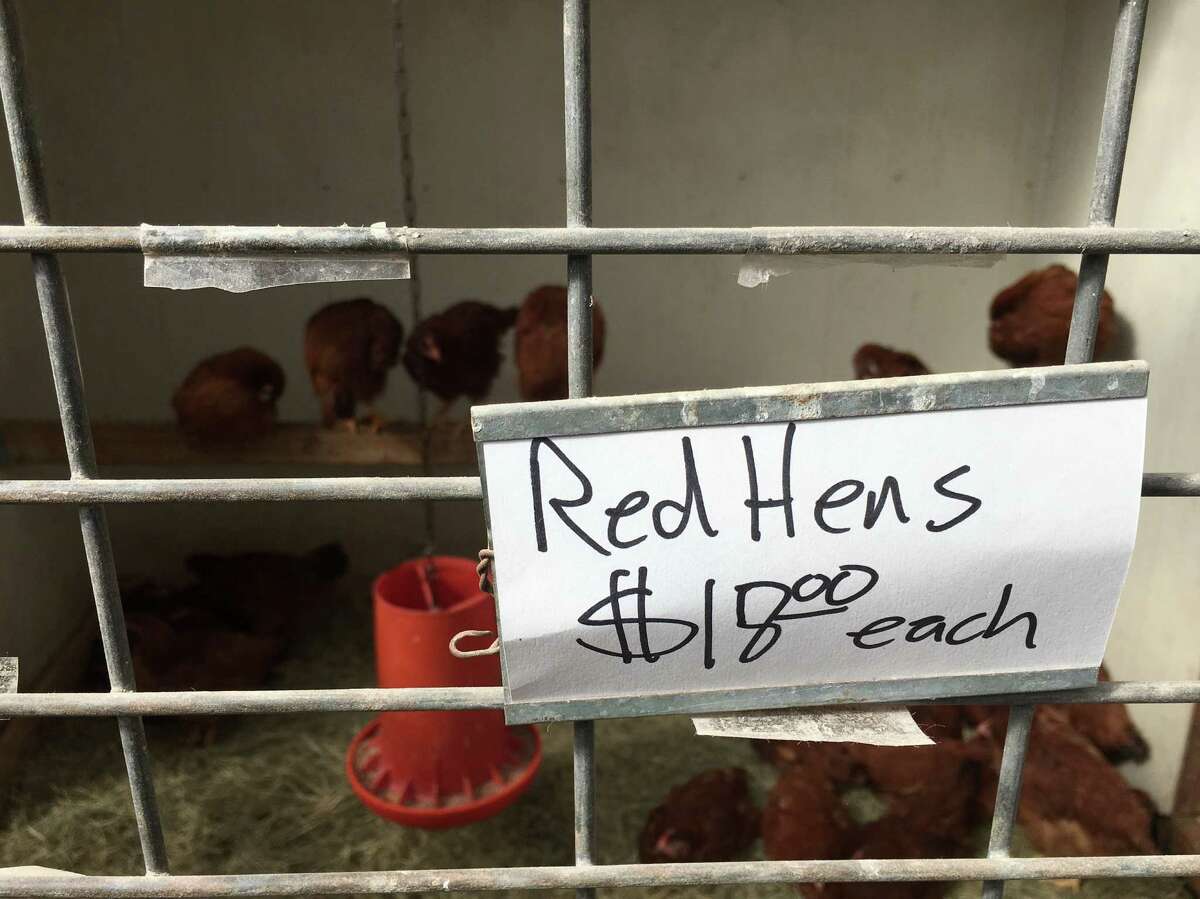 Wabash, the beloved urban feed store, is moving