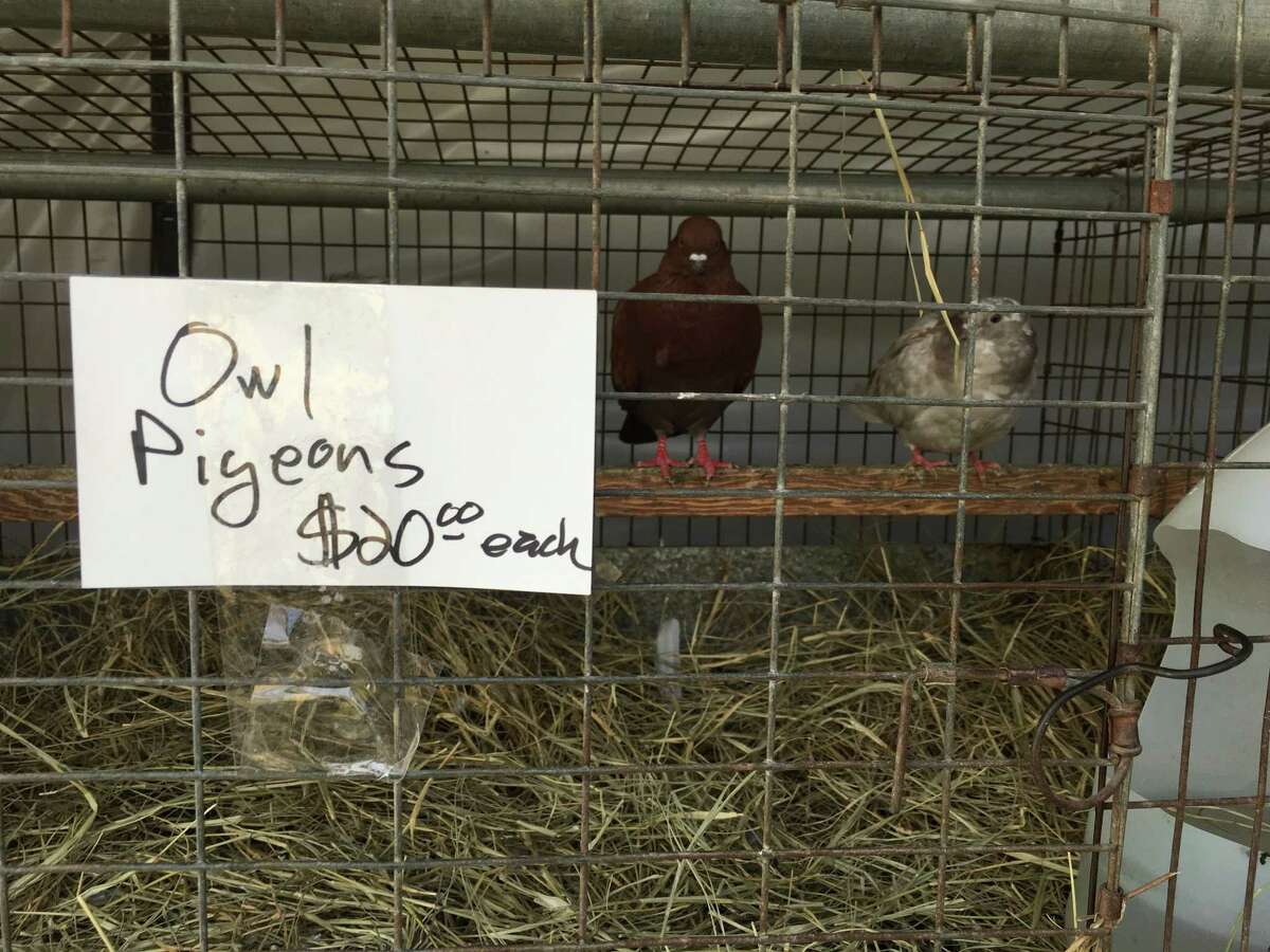 Wabash, the beloved urban feed store, is moving