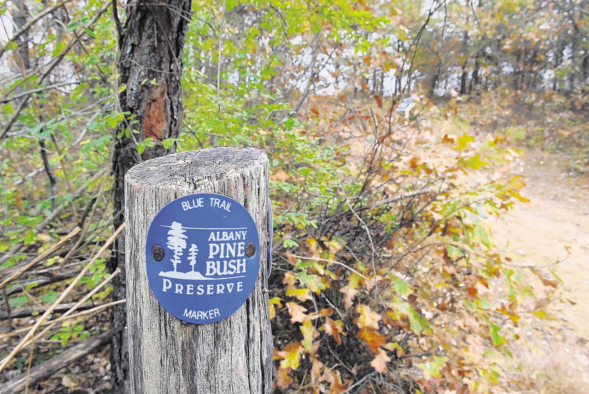 Letter: Destroying trees upends habitats