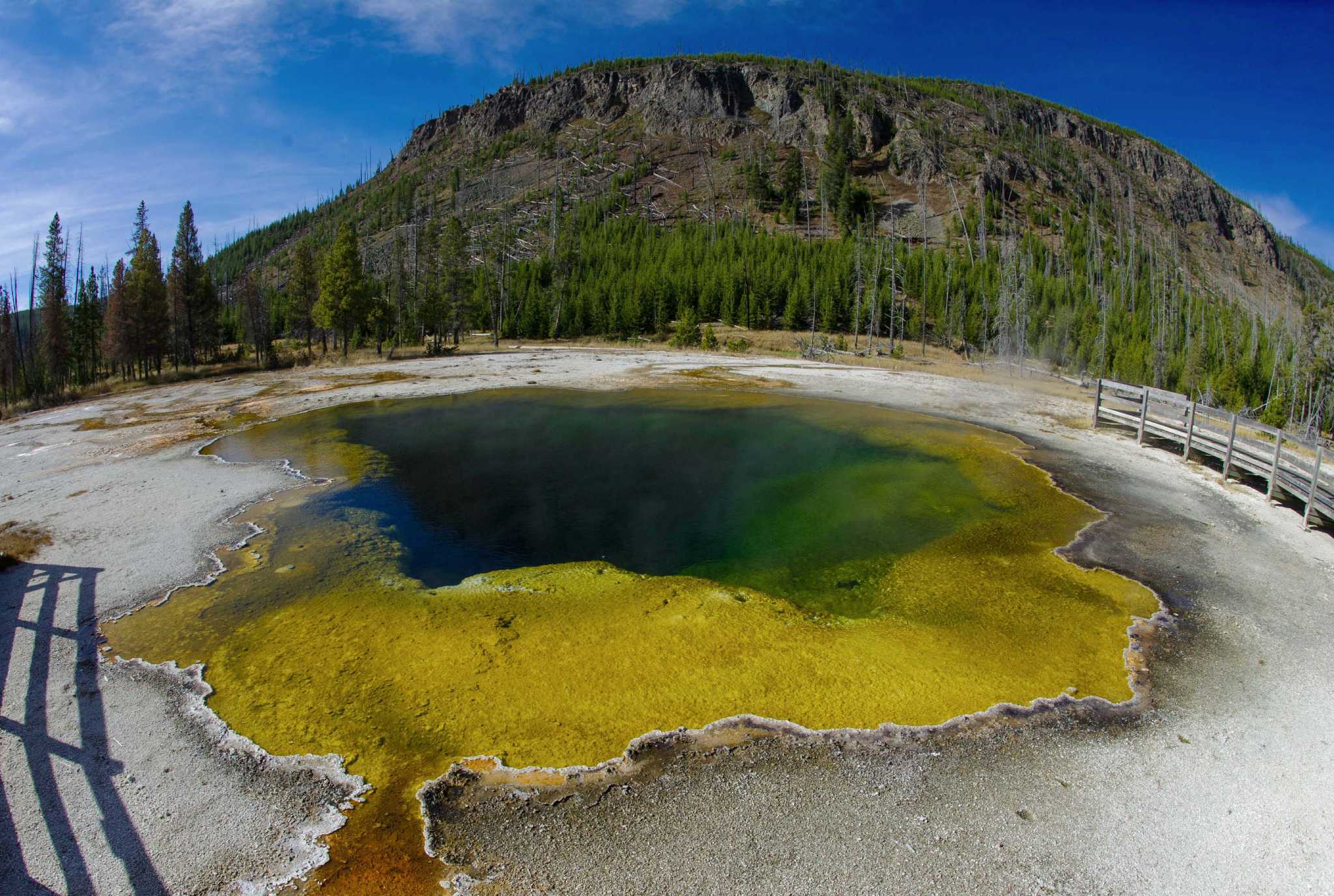 Oregon man's gruesome hot spring death highlights problems at Yellowstone