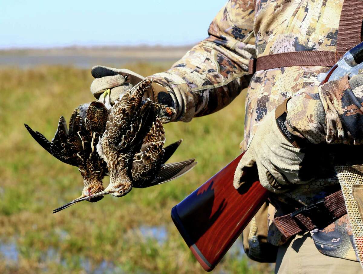 Snipe hunting well worth the challenge