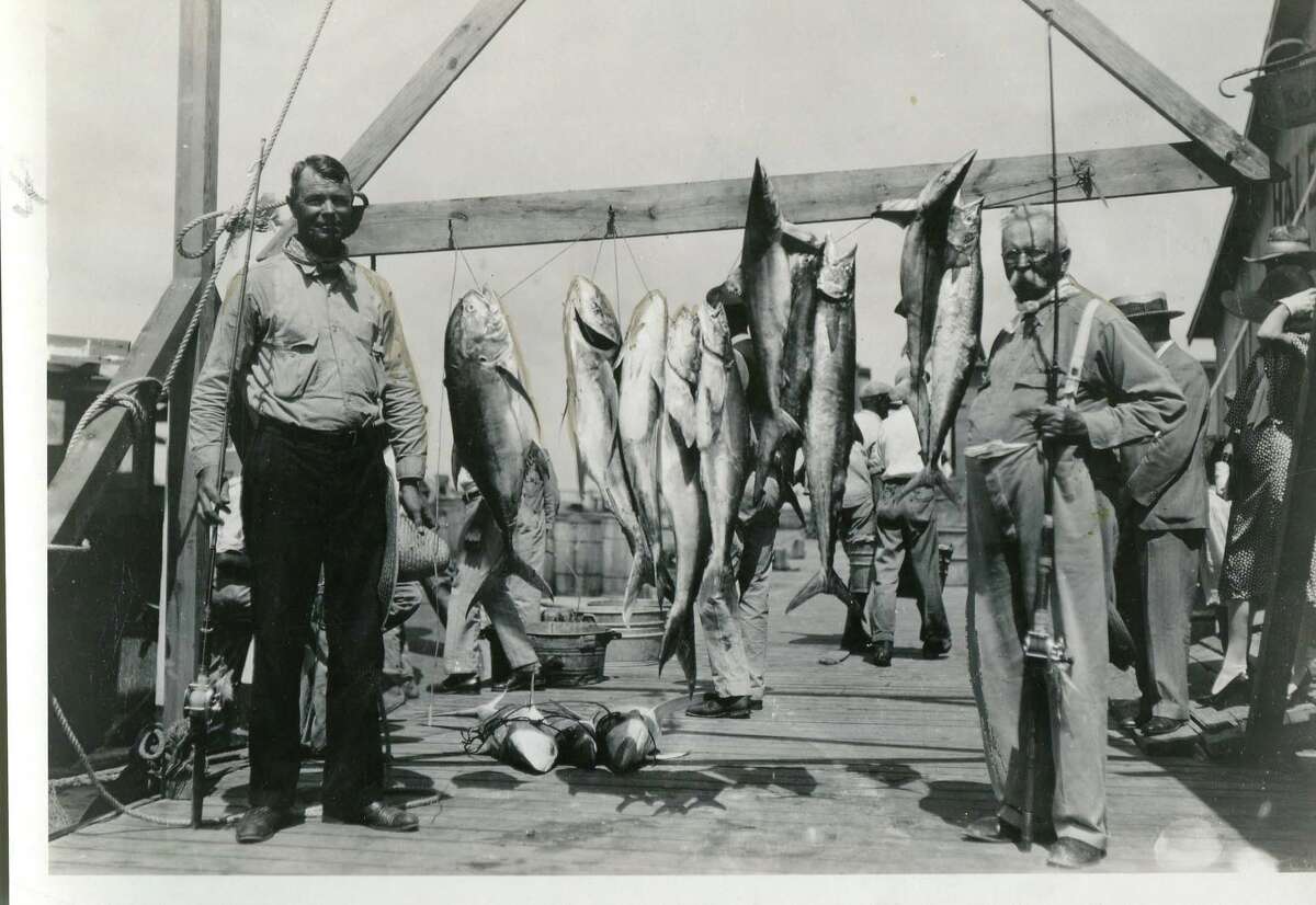 15 fascinating facts to know about the Padre Island National Seashore ...