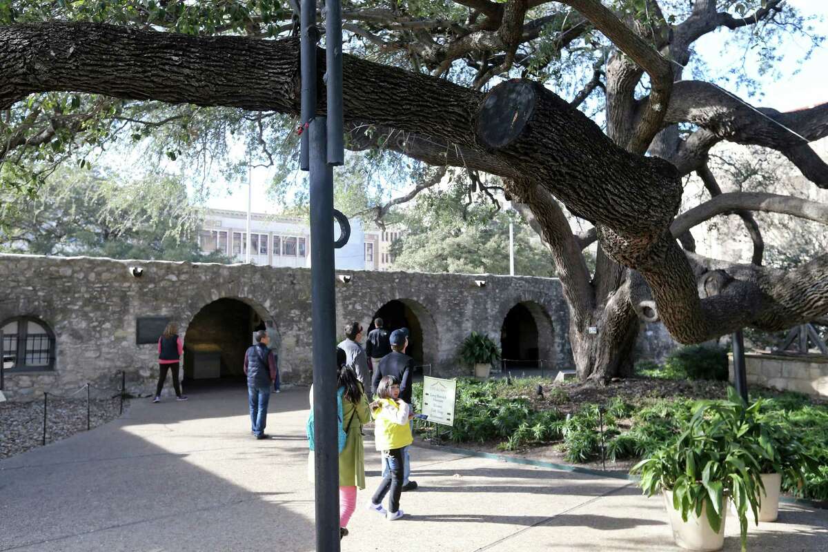 Major work under way to improve Alamo