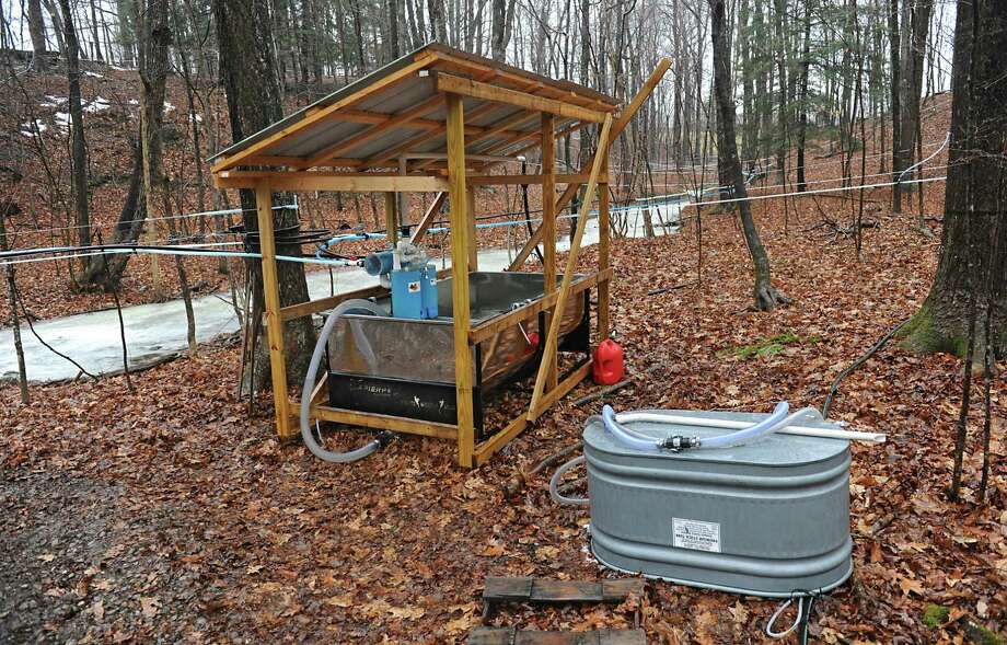Maple sap season starting earlier, but lasting longer despite climate ...