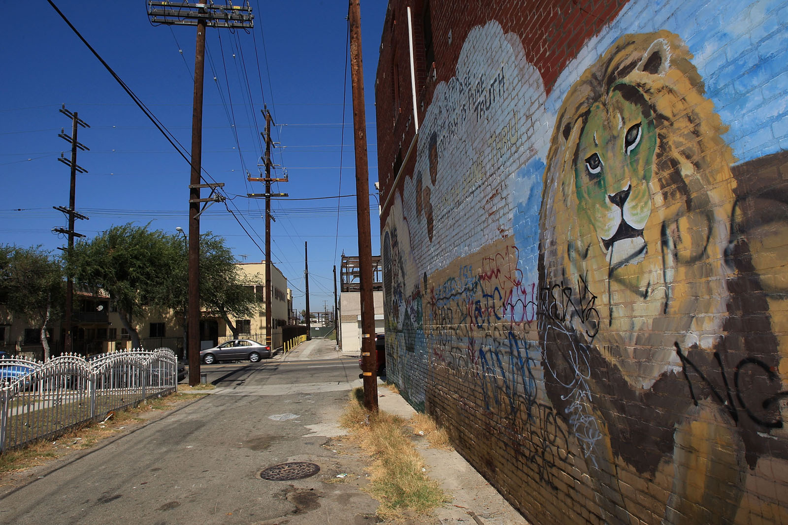 Grim Sleeper serial killer's victims & potential victims