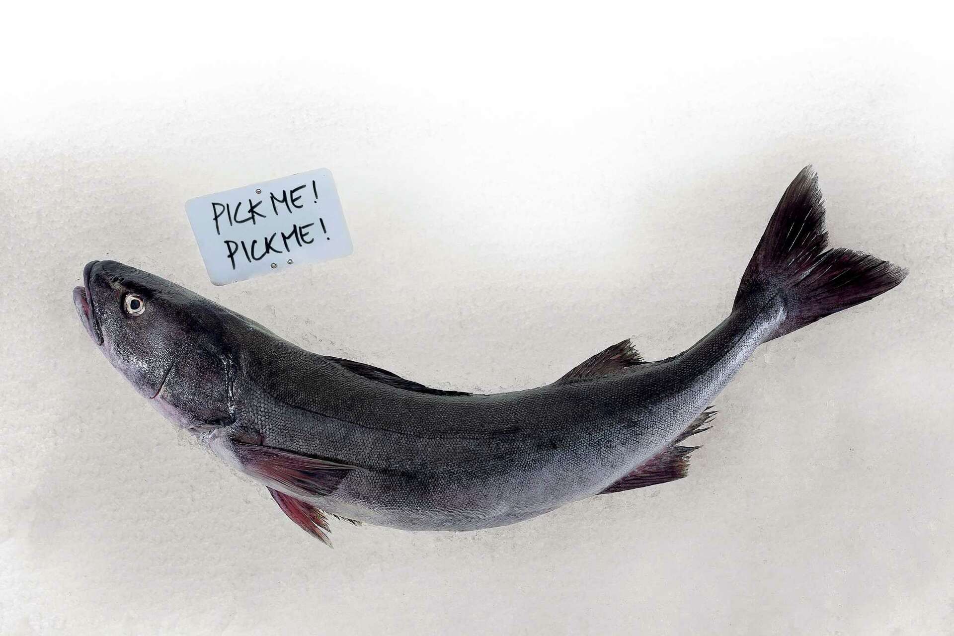 Black cod: Bay Area’s sustainable fish is looking for love
