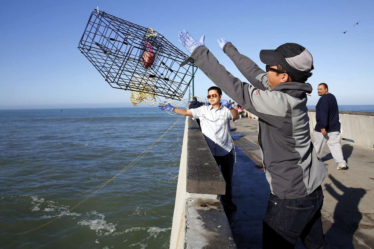 The only way to get local Dungeness crab? Catch them yourself