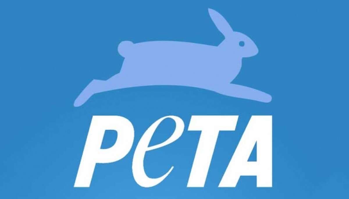 PETA gives Berkeley compassion award, rabbit-shaped chocolates
