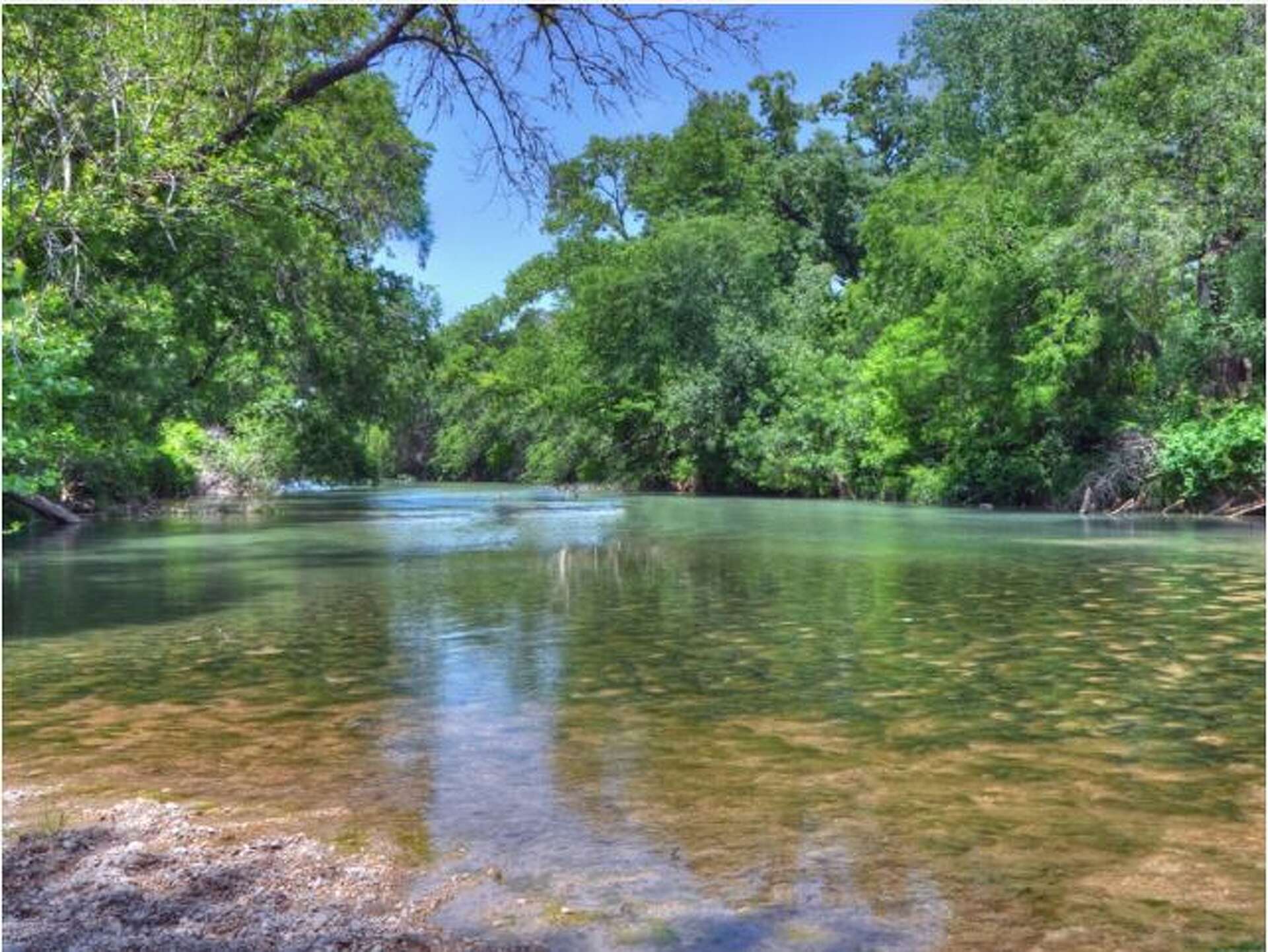 Rare bluefin tuna caught off the Texas Gulf Coast