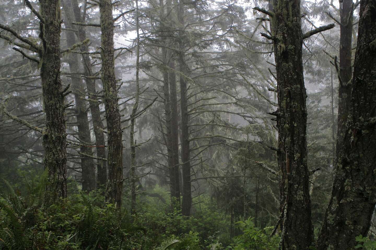 Inverness Ridge: uncrowded wows