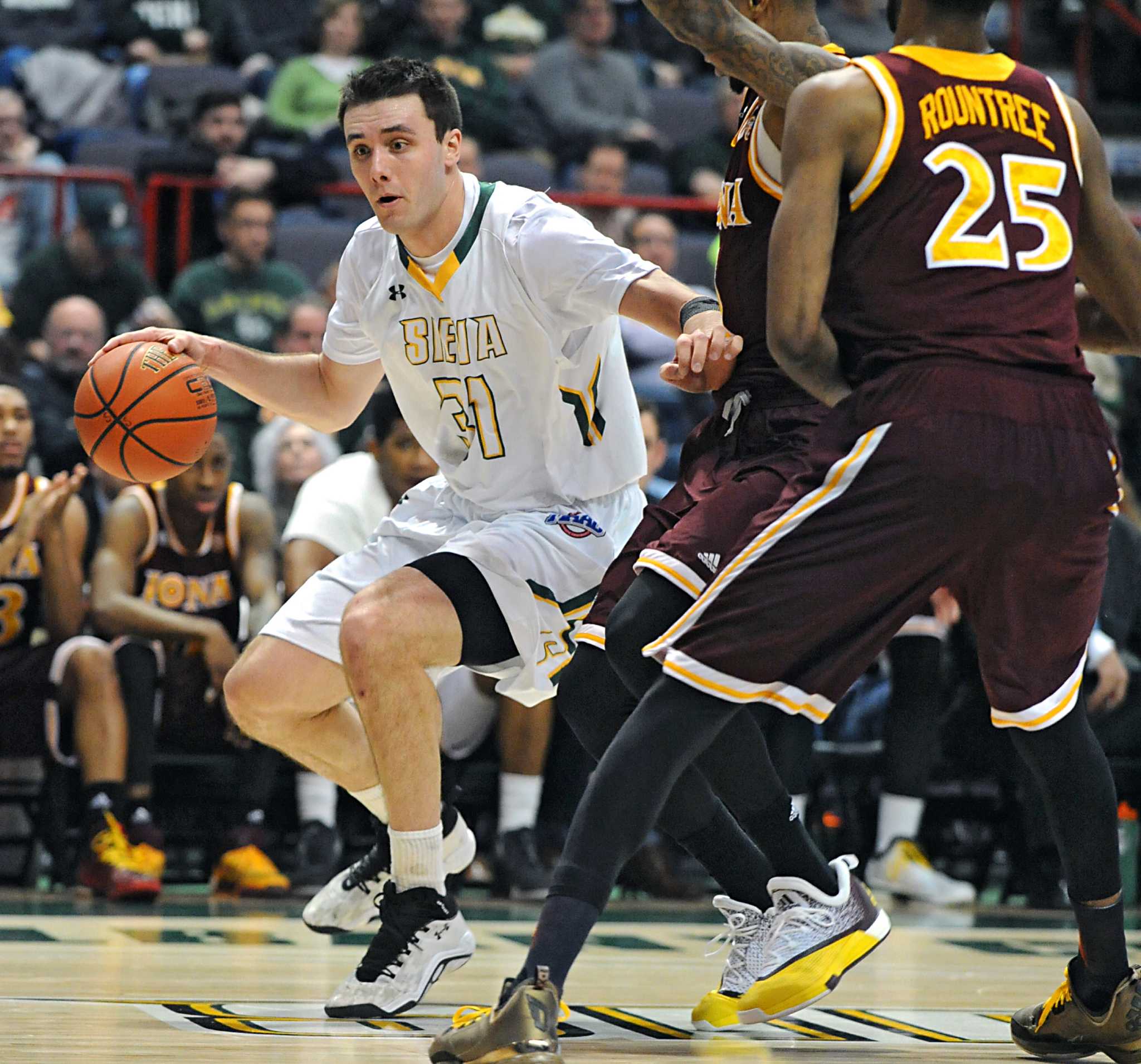 Siena basketball turns around to play Fairfield