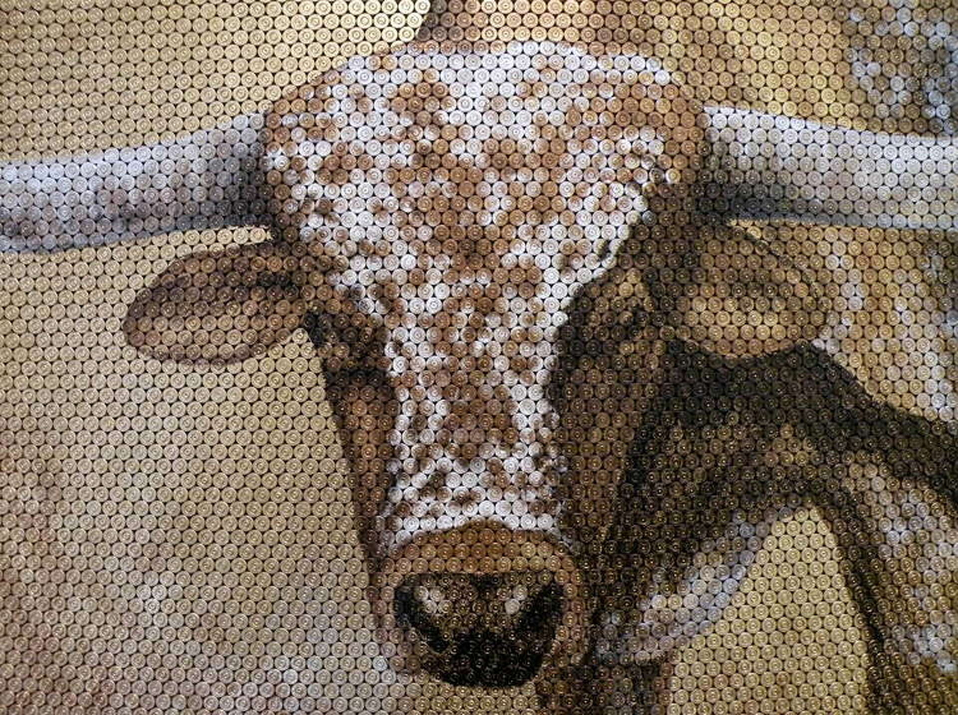 San Antonio man collects thousands of empty bullet casings to create ...