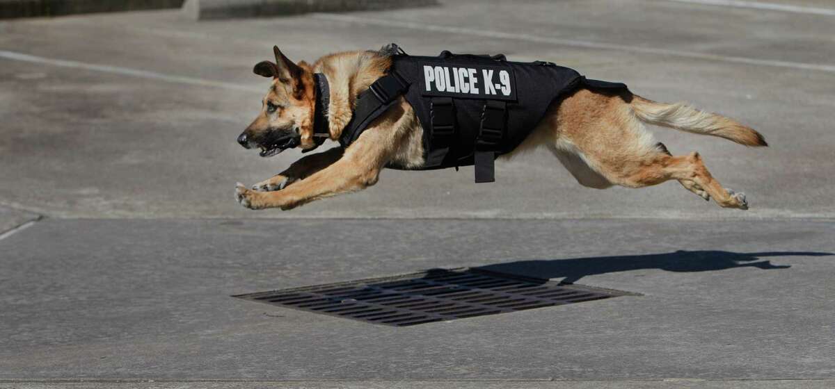 K9 officer gets protective vest