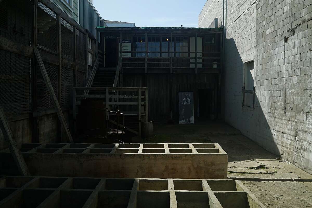 Monterey: A deep dive into epicenter of seafood sustainability