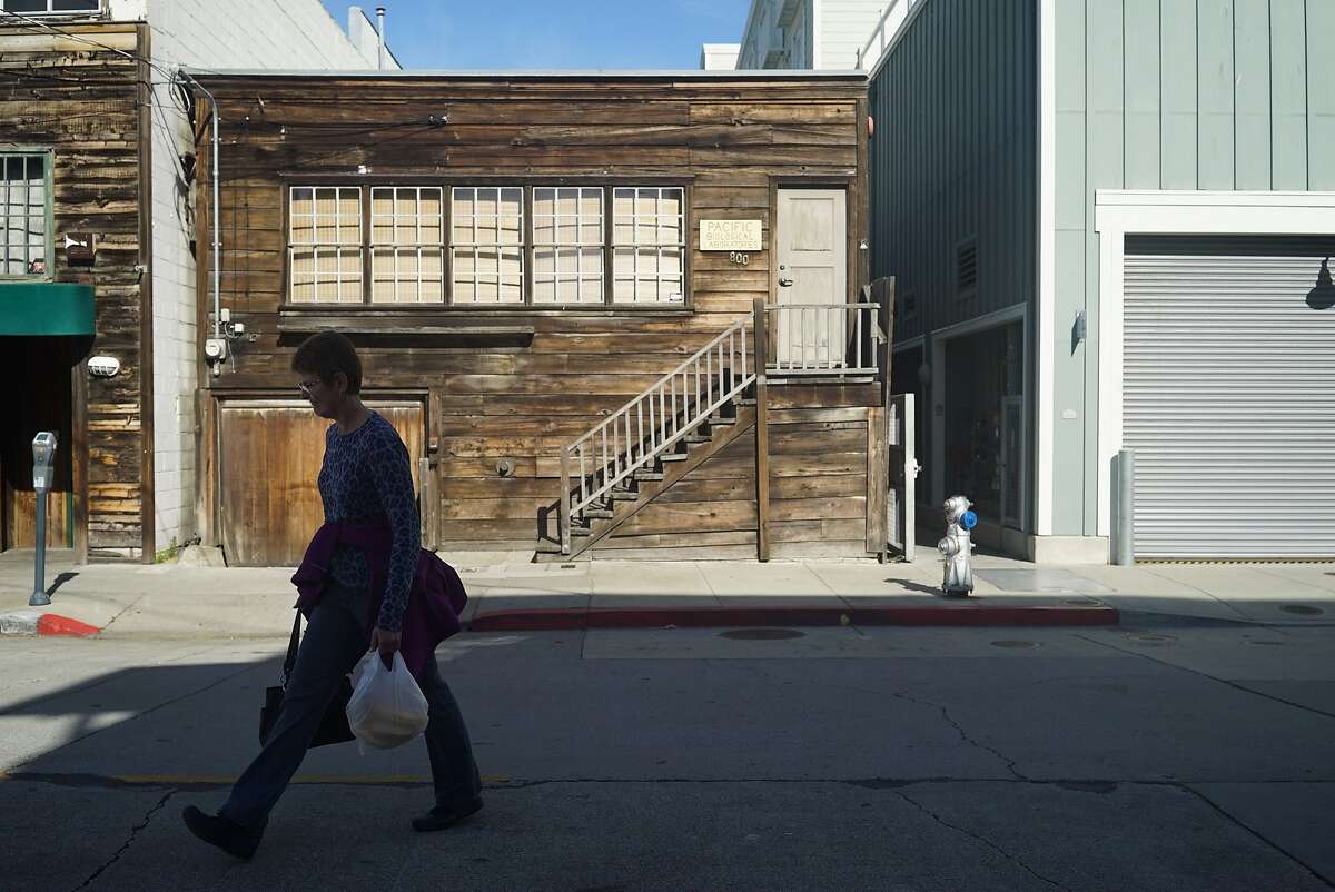 Monterey: A deep dive into epicenter of seafood sustainability