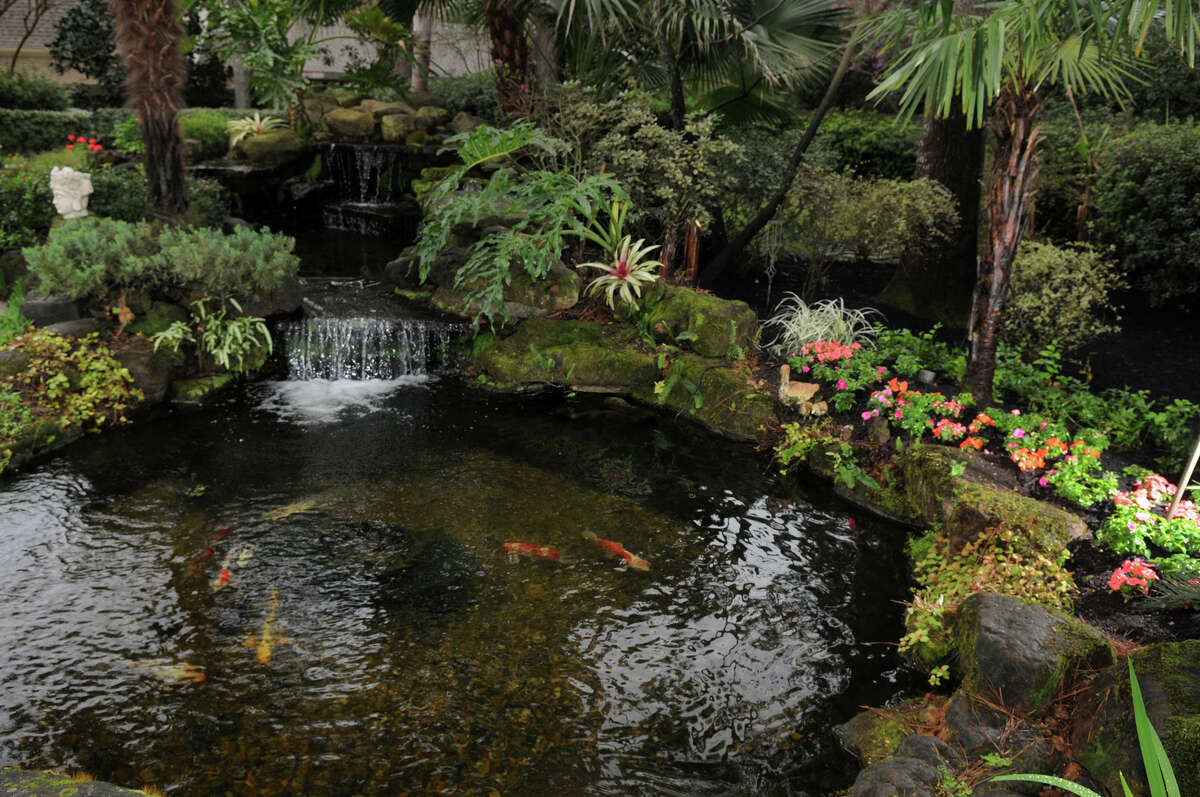 Water gardening: It's not as complicated as you might think