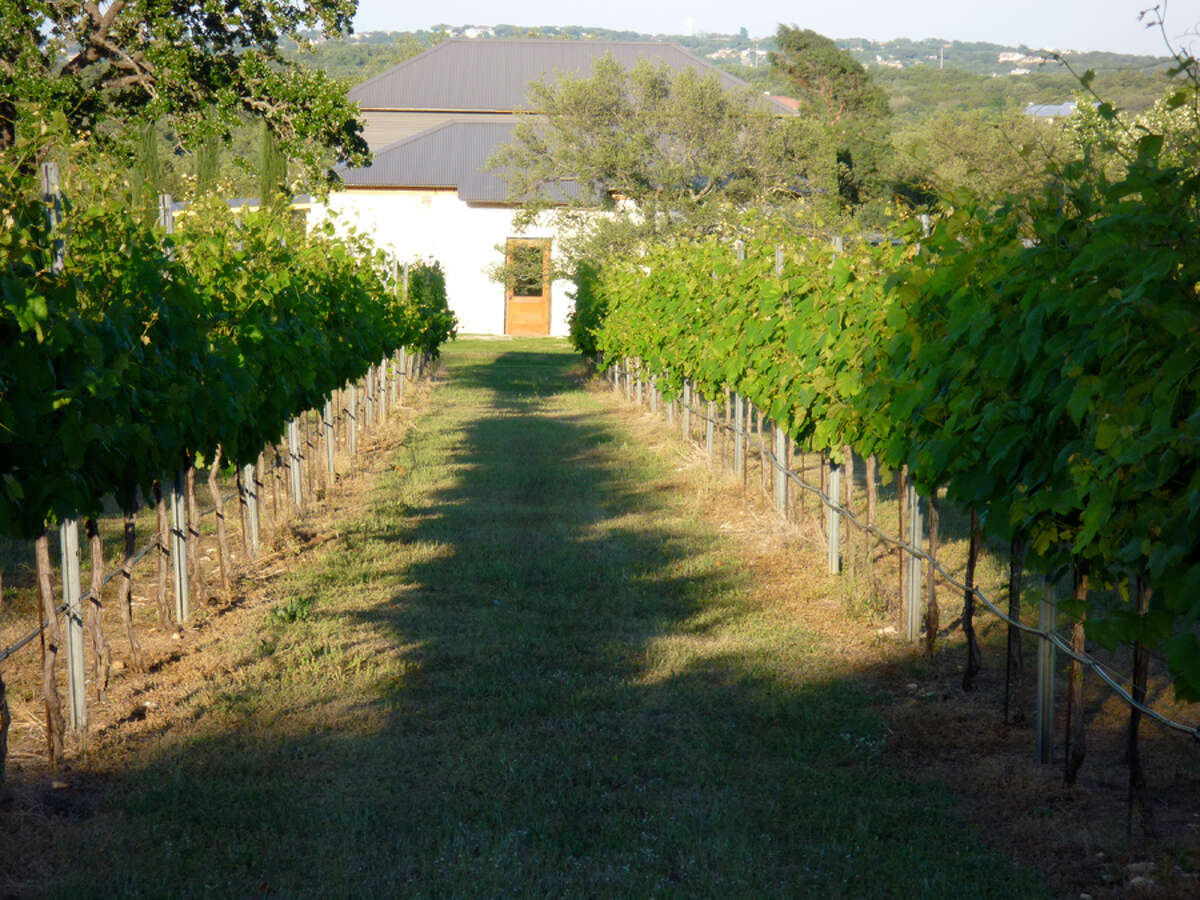 Stone House Vineyard