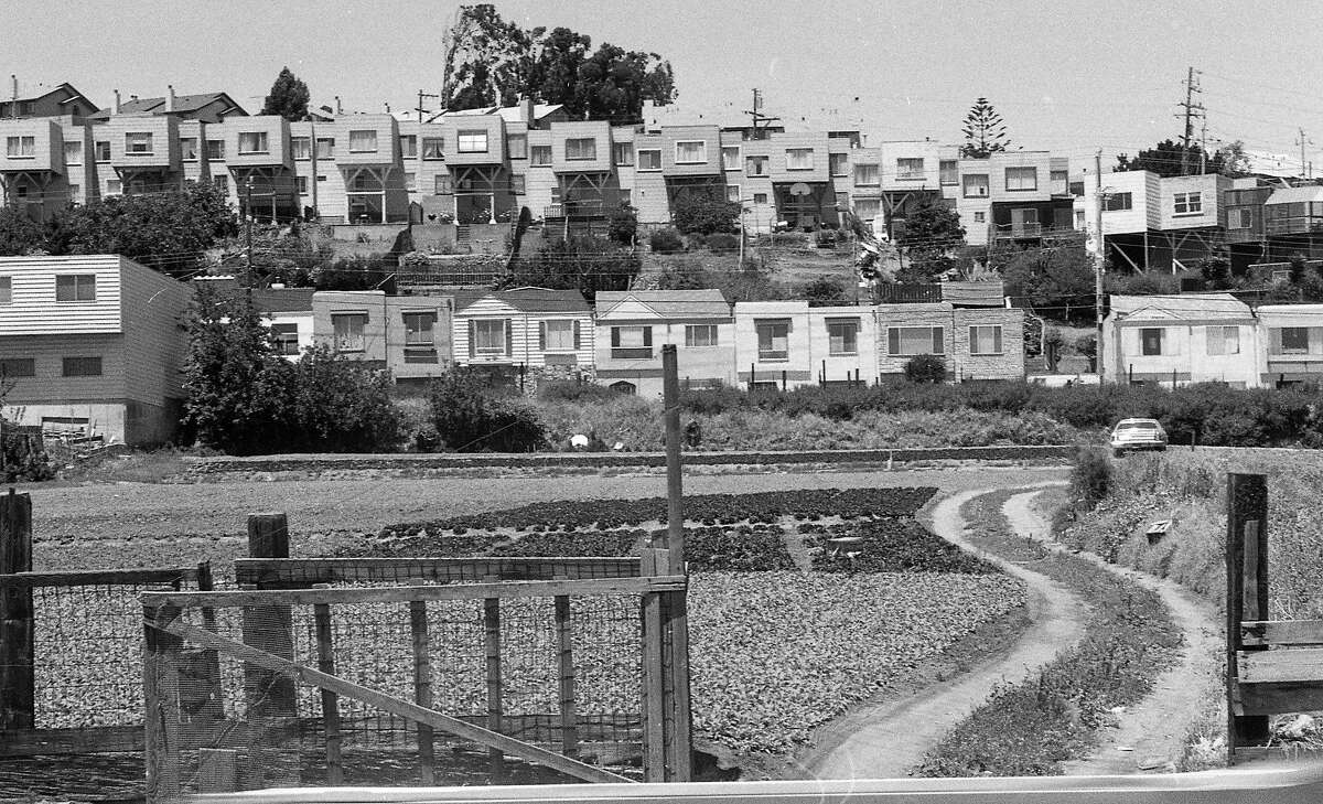 The last San Francisco farm's stubborn final years