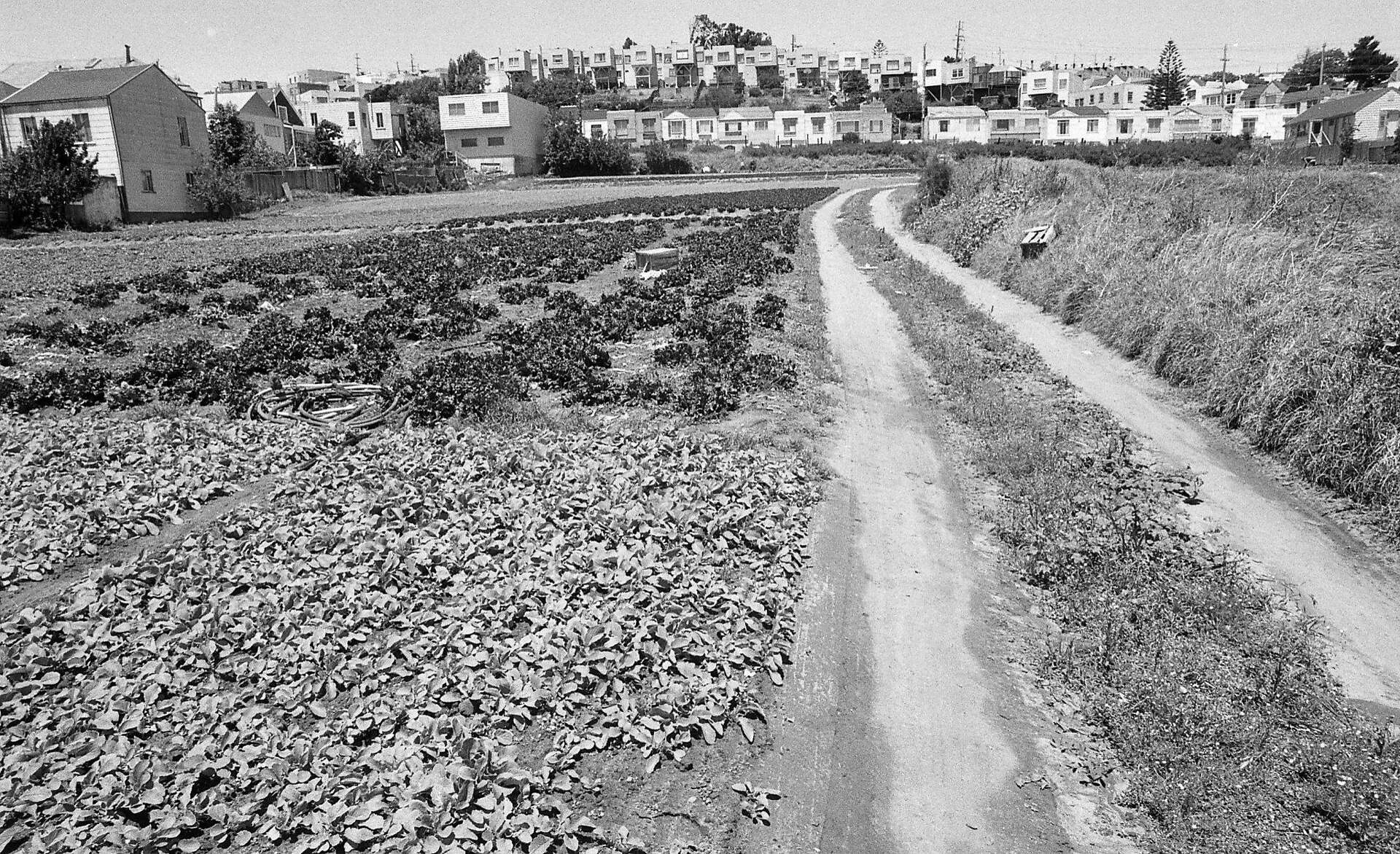 The last San Francisco farm's stubborn final years