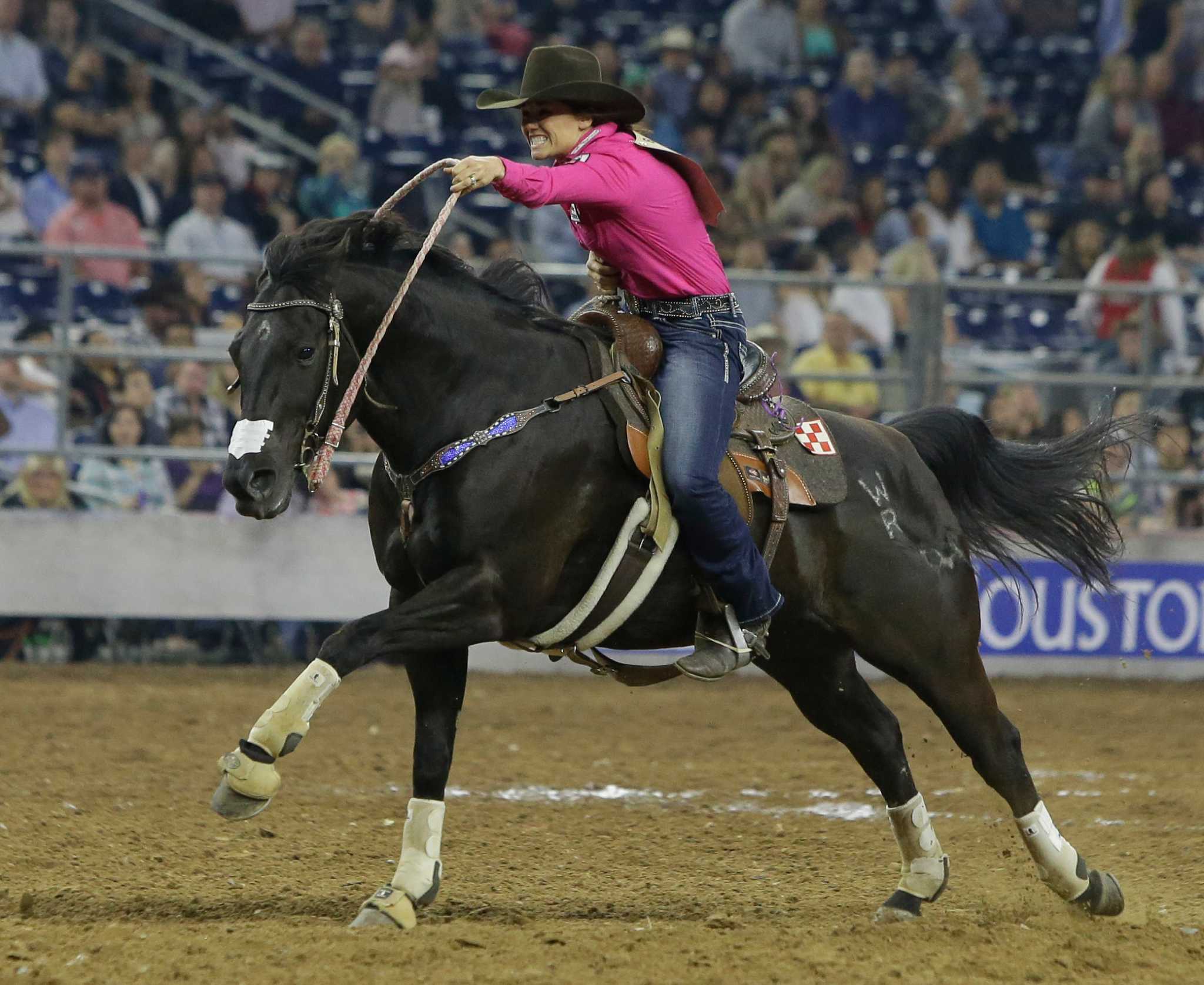 Black Quarter Horse Barrel Racing
