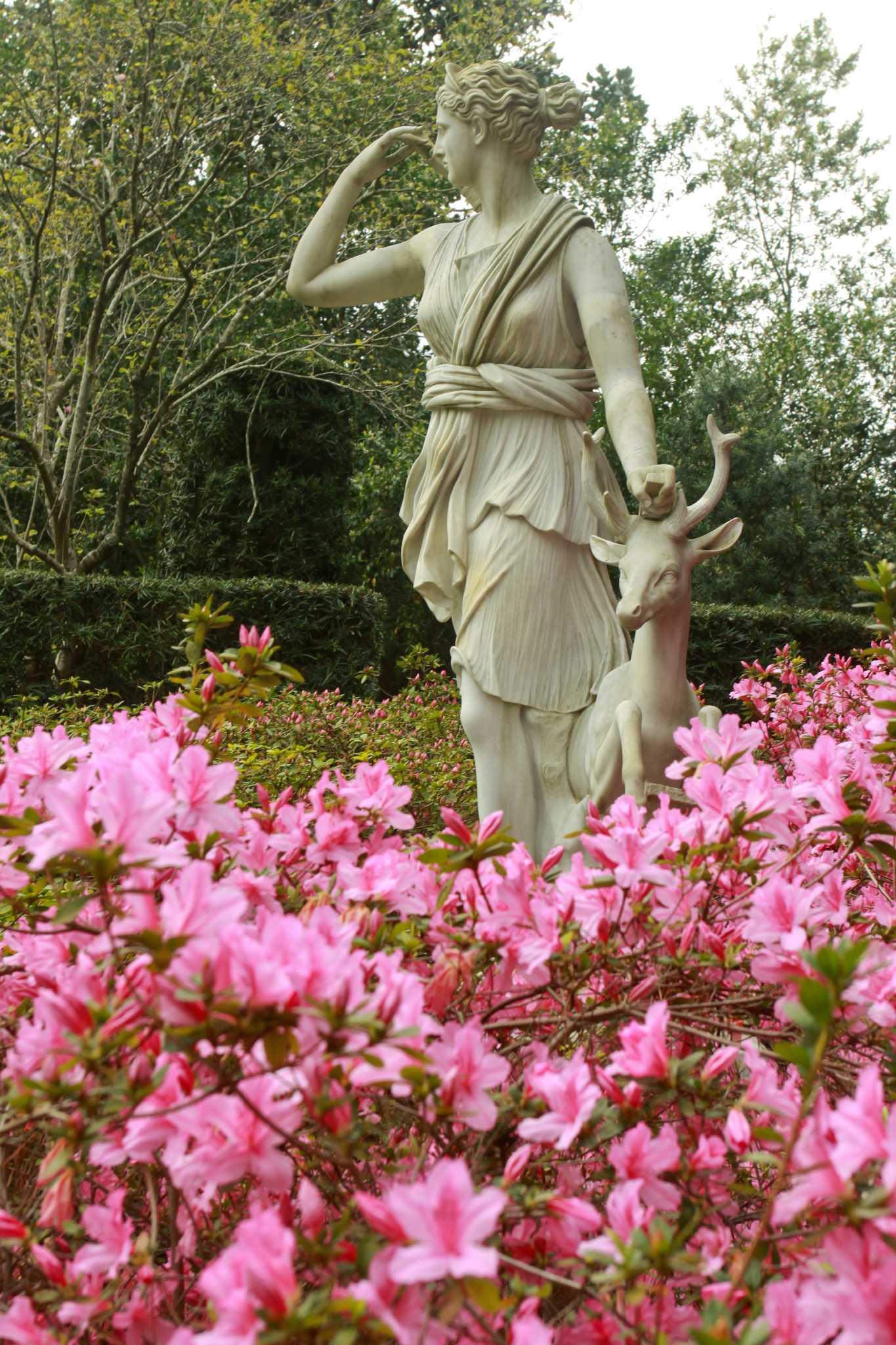 Celebrate the Good Oil Days in Humble