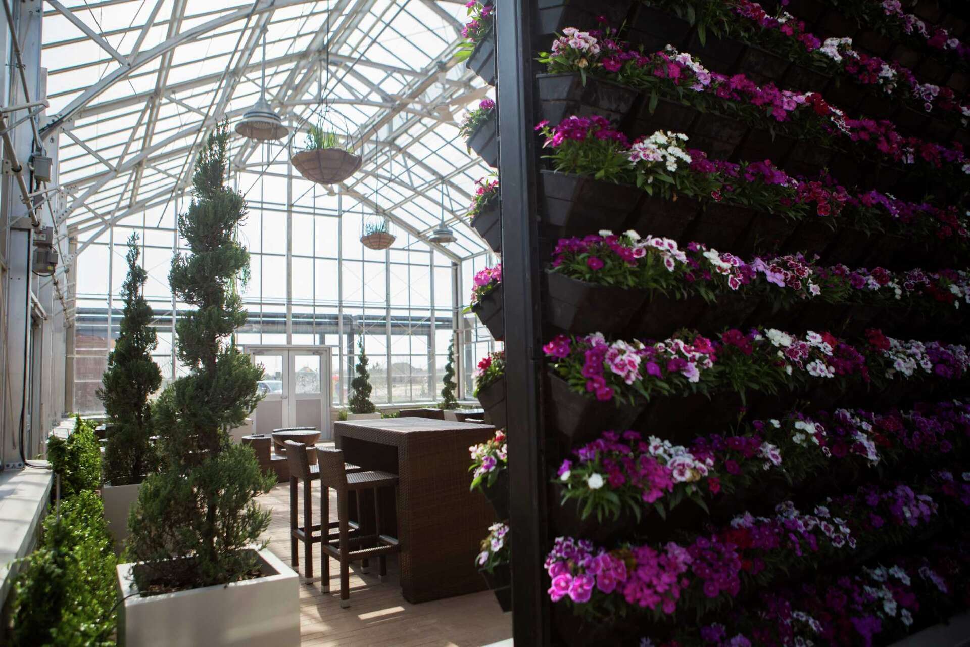 Q&A: Rise Communities opens Cane Island in Katy