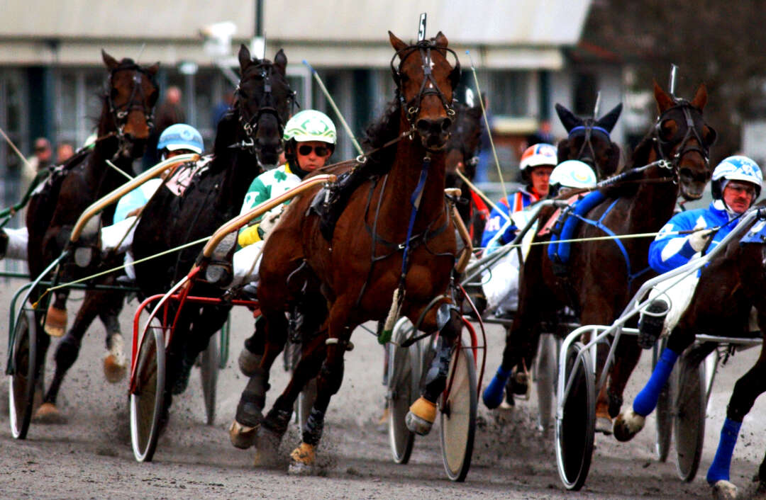 Saratoga harness track turns 75