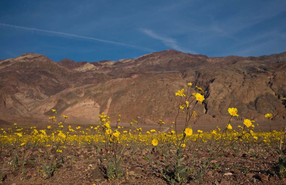 People are getting their cars stuck in mud trying to go see the super ...