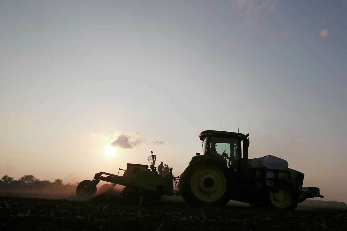 The 'hustler' city built on hardscrabble ambition