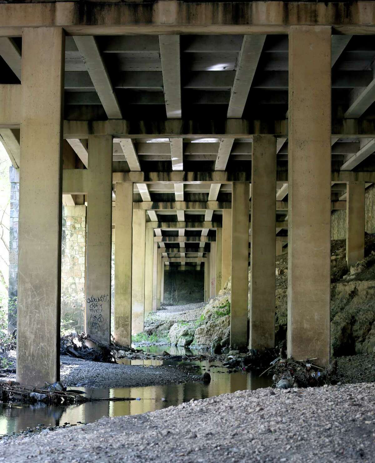 Project could breathe new life into Olmos Creek
